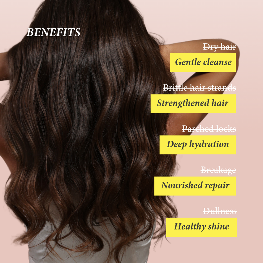 Maximum Moisture Shampoo With Shea Butter – Shearadiance